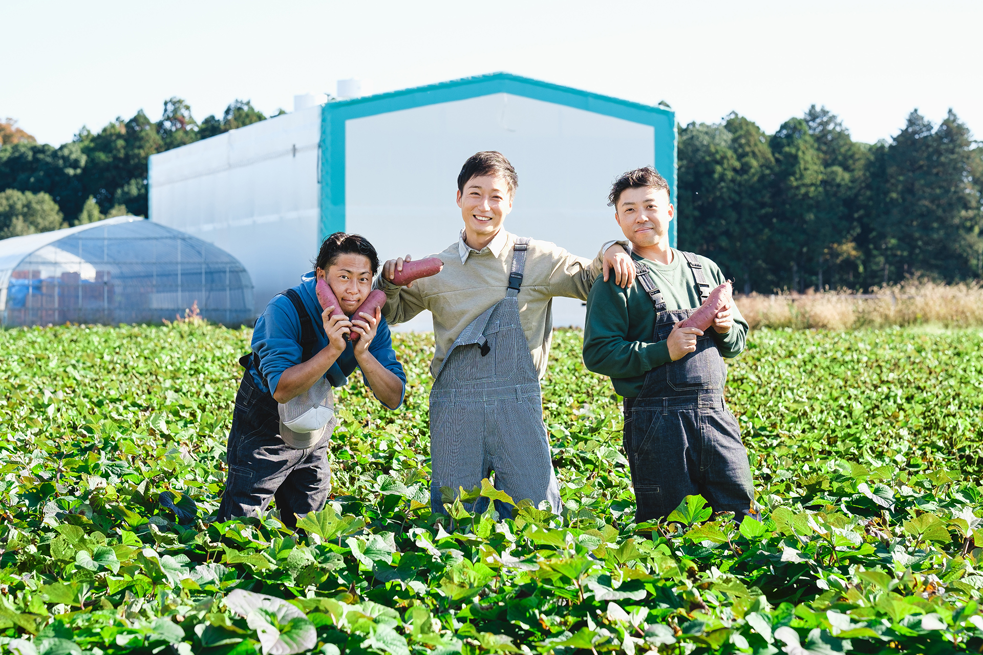 株式会社OIMOYA（おいもや）