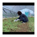虫より怖いんです… | OIMOYA日誌 | 株式会社OIMOYA（おいもや）